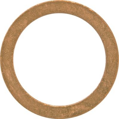 Diesel Injector Washer M21 X 25 X 1.0 | HCU2125