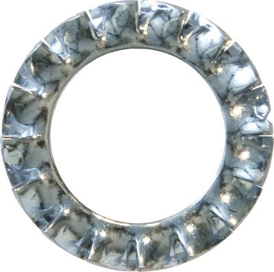 M8 External Serrated lock washer | HLW23